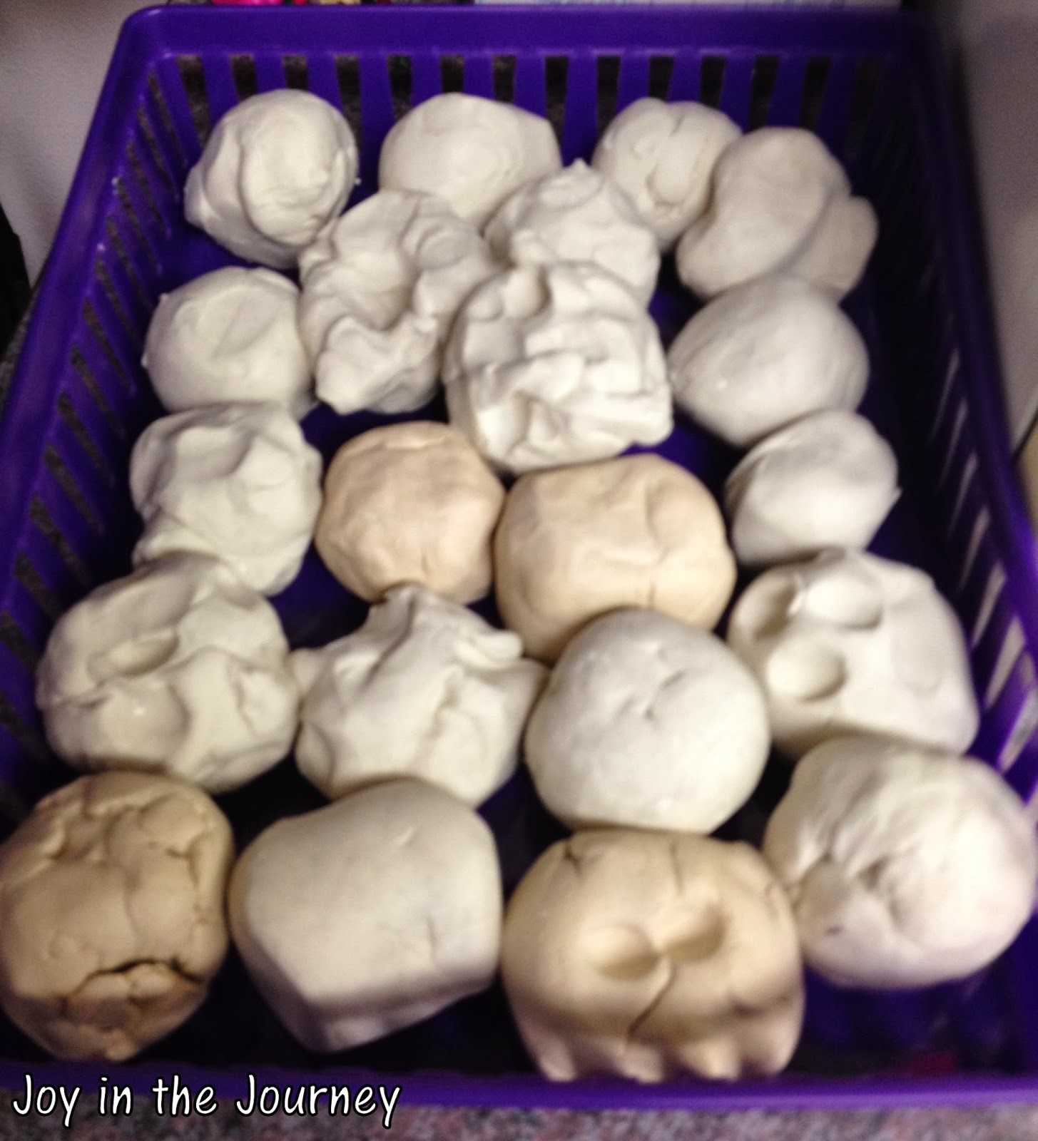 Making Fossils in the Classroom - Joy in the Journey