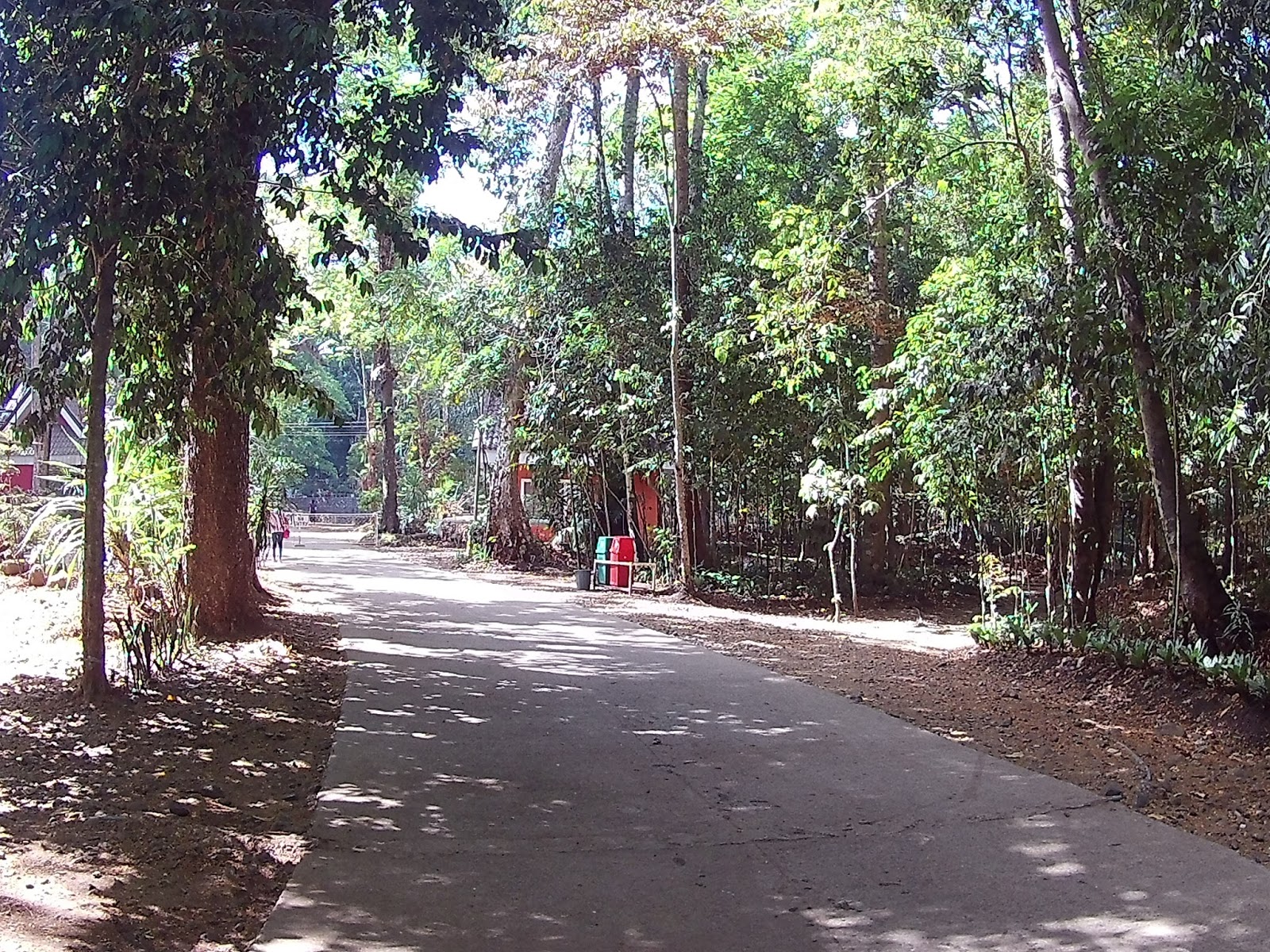 Mabinay Spring Resort – Place to be.