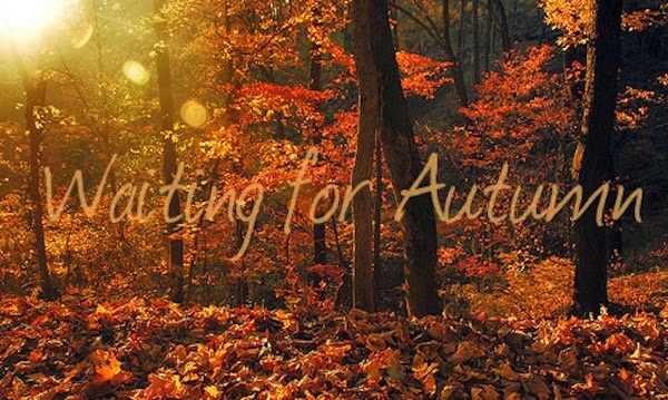 Brown Eyed Girl Conquers the World: 10 Reasons I'm Ready for Fall...NOW