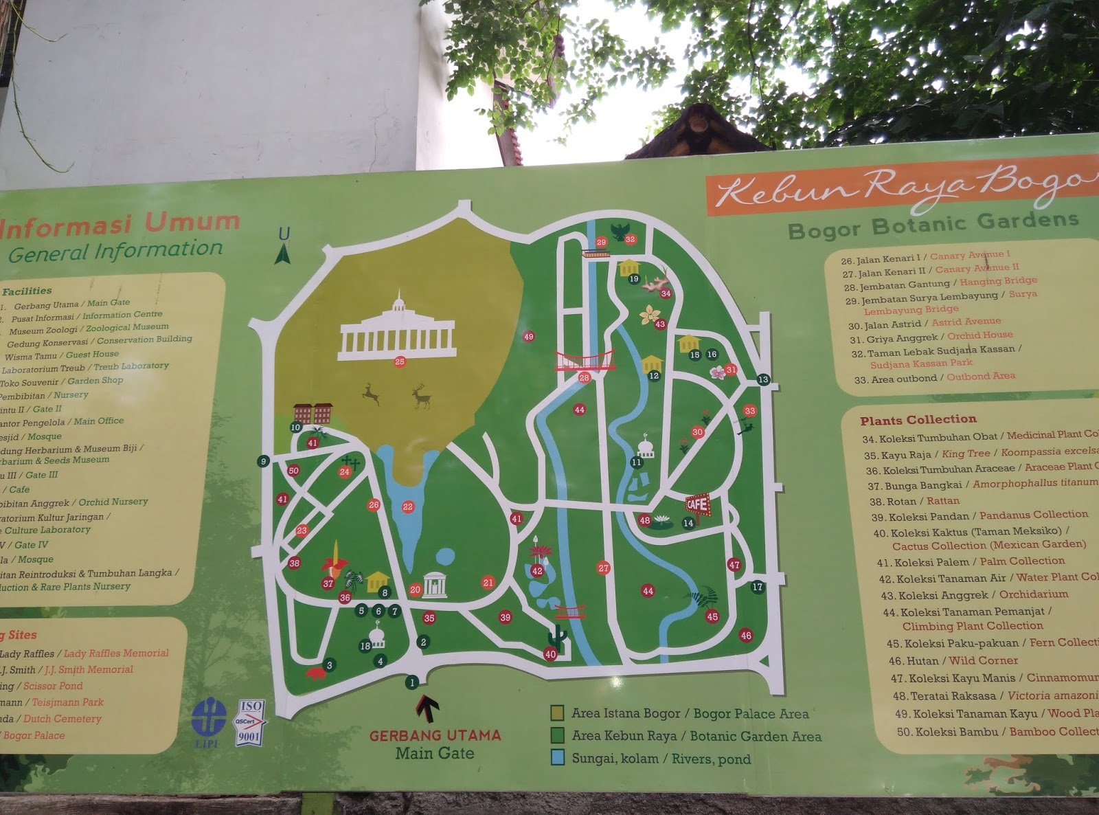 Dewi Anggara: Kebun Raya Bogor