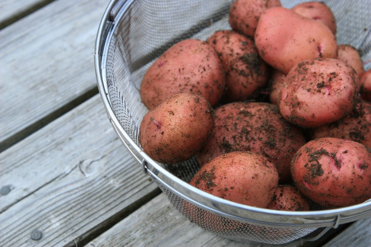 Suited To The Seasons: Food Did Happen...