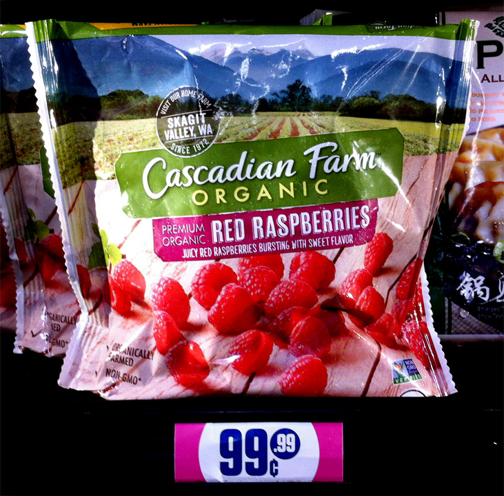 The 99 Cent Chef: January 2019