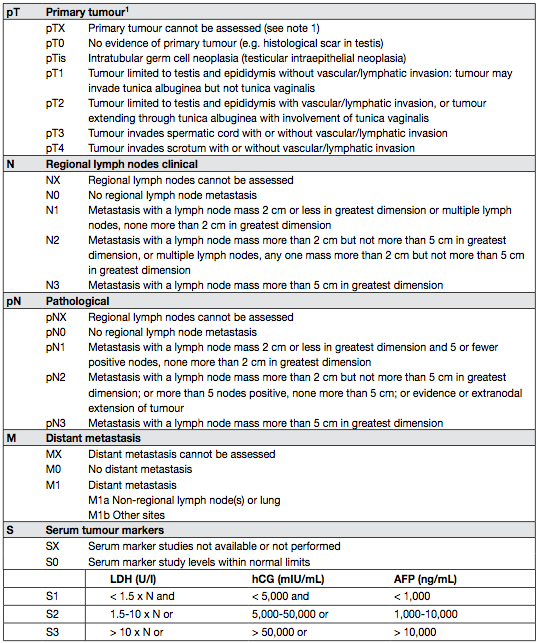 Testicular cancer : Diagnostic evaluation