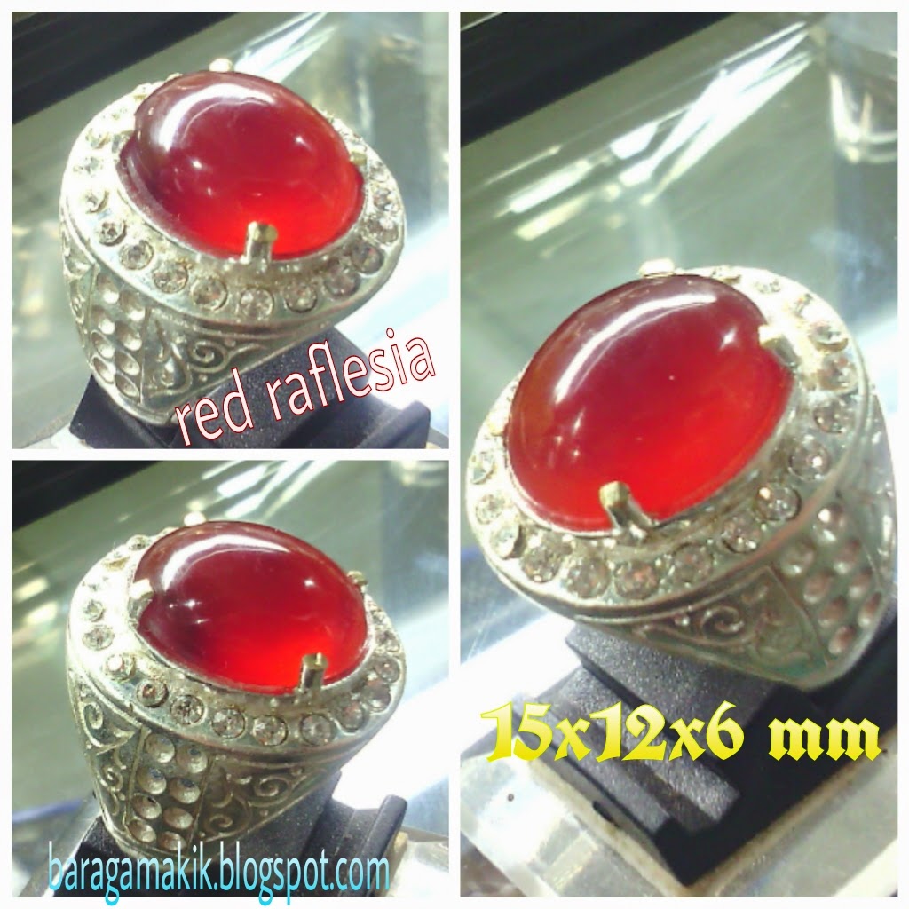 Red Raflesia Code: APRR347 - Batu Akik Padang