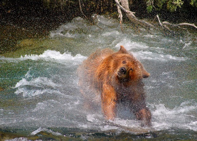 Sarah's Digital Photography Blog Journal: February 2014