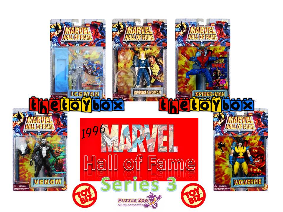 The Toy Box: Marvel Hall of Fame (Toy Biz)