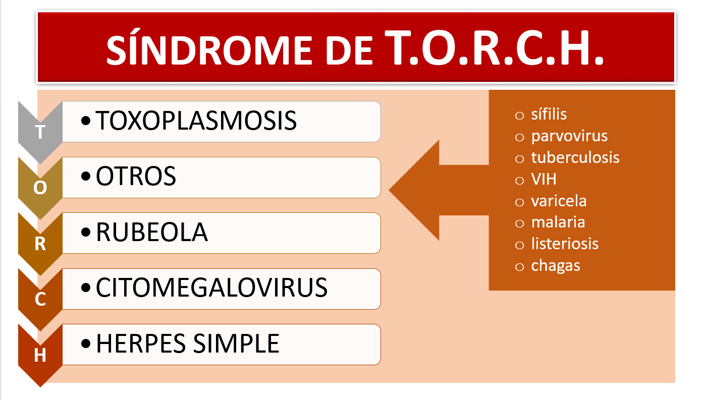 MANIFESTACIONES CLÍNICAS ASOCIADAS AL SÍNDROME DE TORCH