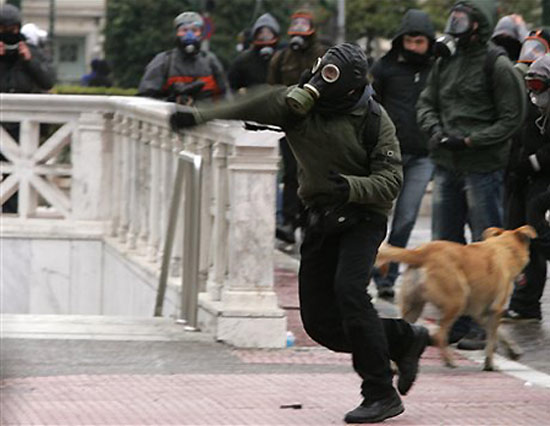 Gallery of The Legendary Greece Riot Dog Pictures | Amazing Creatures