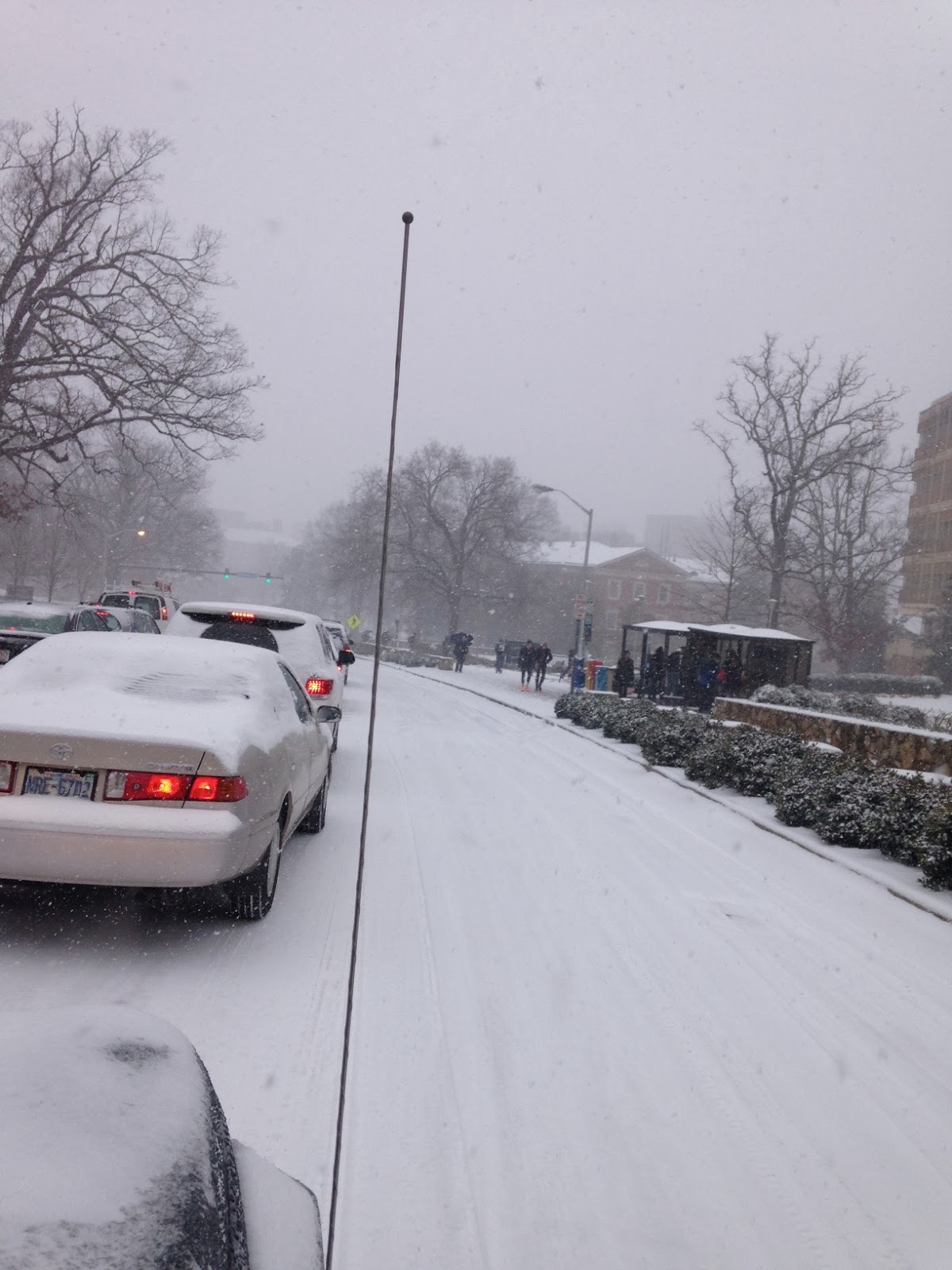 The Next Chapter: Life in North Carolina: The NC Snowpocalypse!