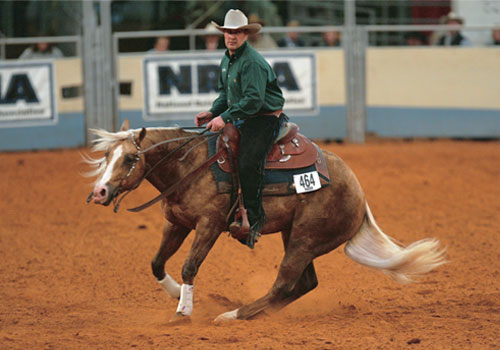 100 Mile Sliders Reining Club: STALLION SPOTLIGHT-WIMPYS LITTLE STEP