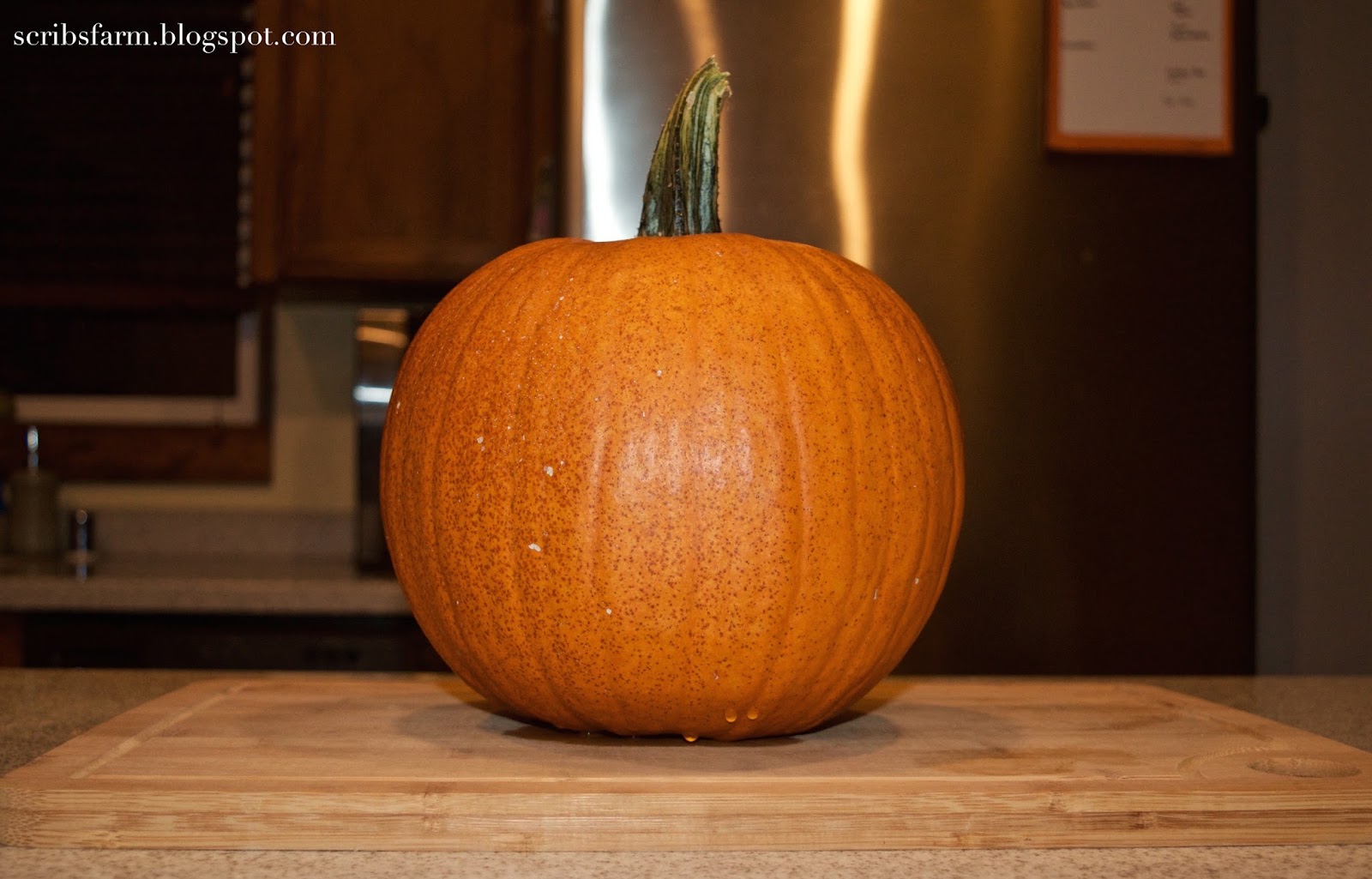 Scribs farm: How to Roast a Sugar Pumpkin