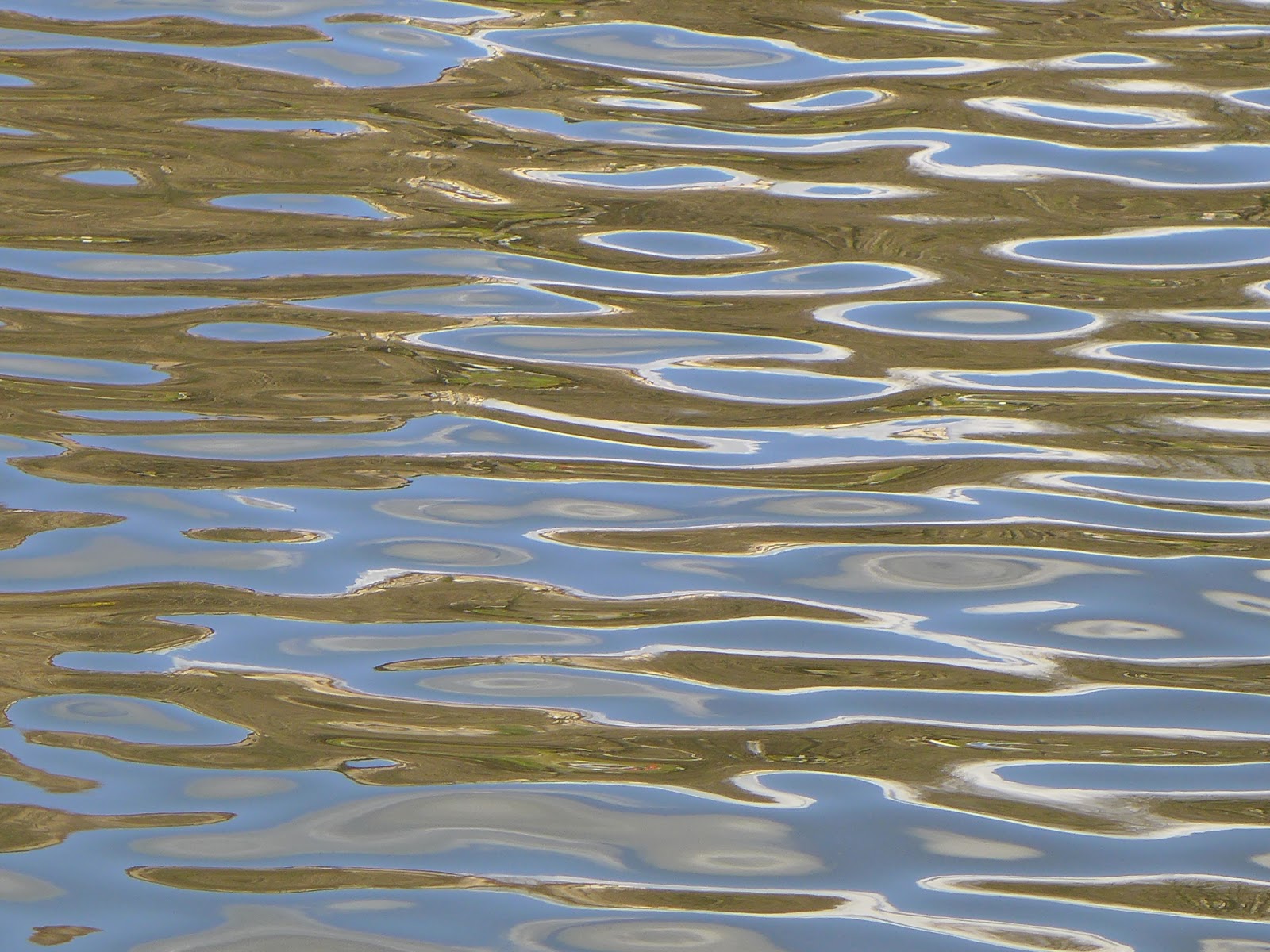 Textura de agua con reflejos | Todas las texturas
