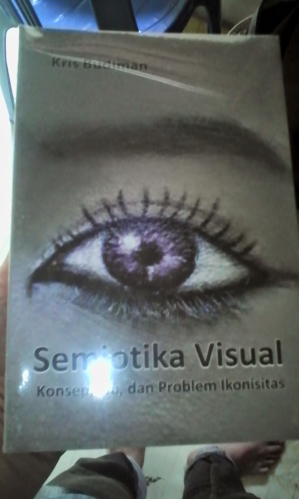 semiotika visual | LARIS BUKU