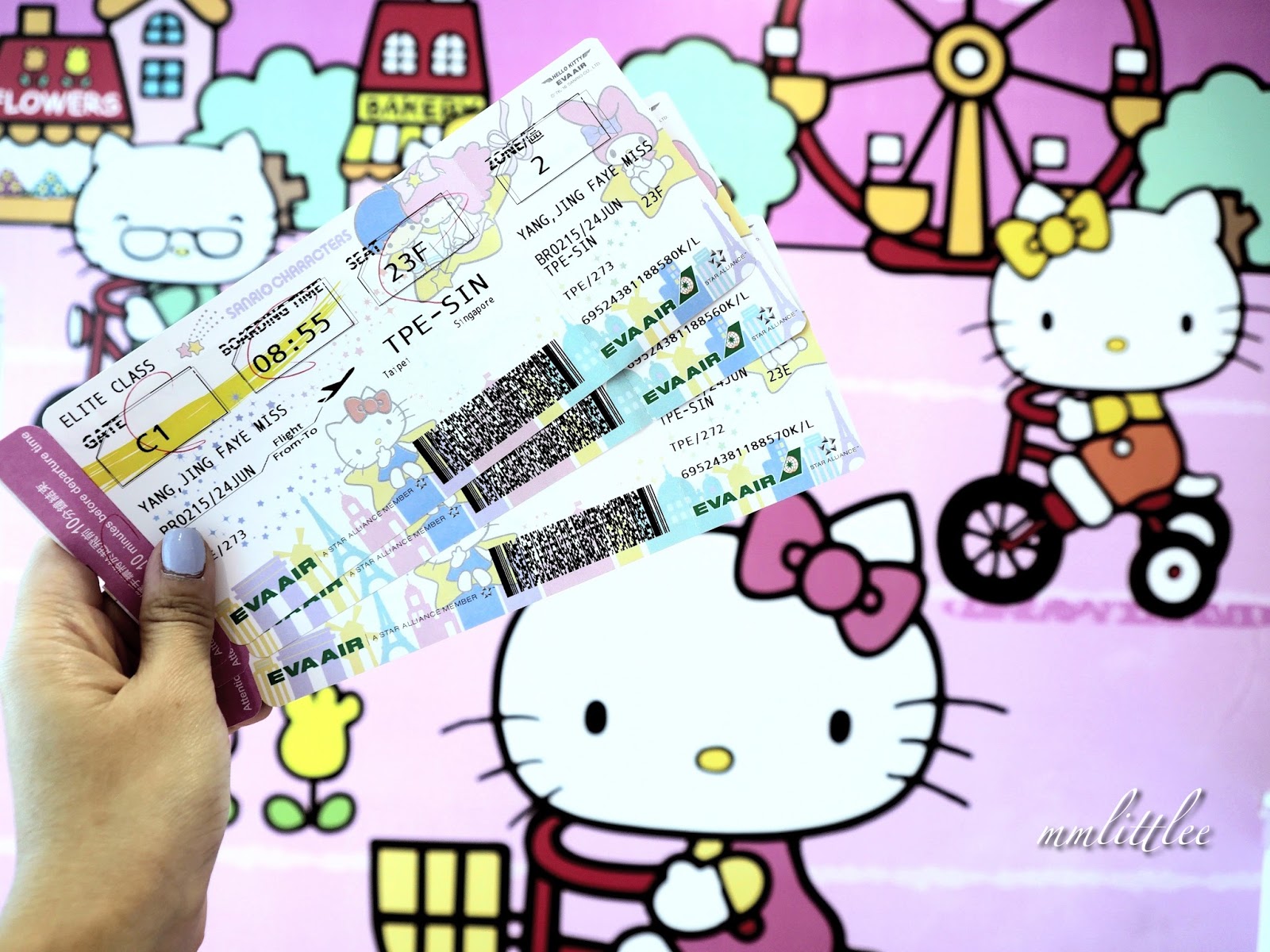 Hello Kitty Jet with EVA Air