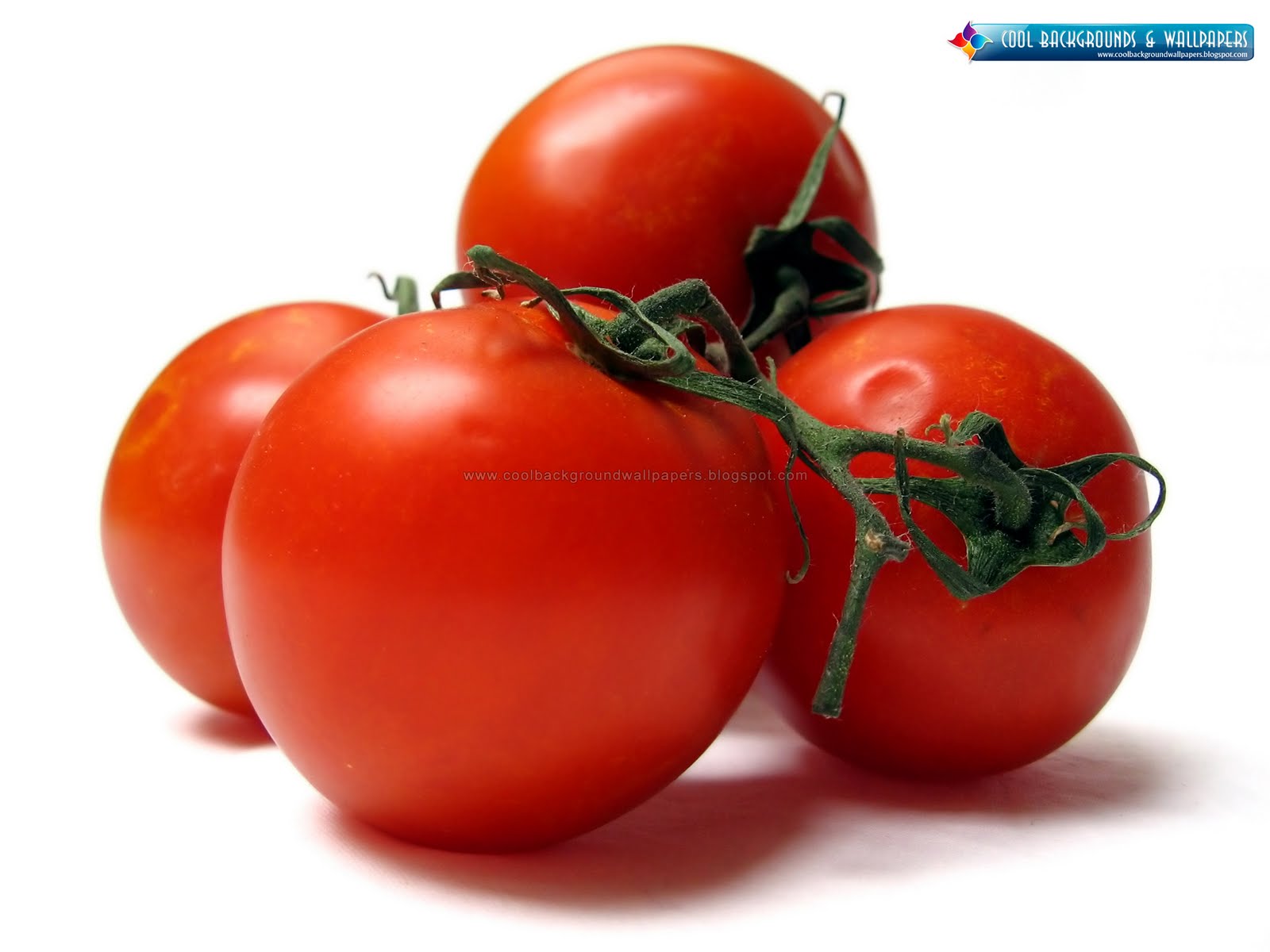 NIm 2011: Juicy Tomato High Resolution Wallpaper