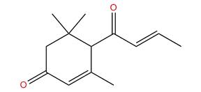 World's MOST Celebrated Perfume Molecules