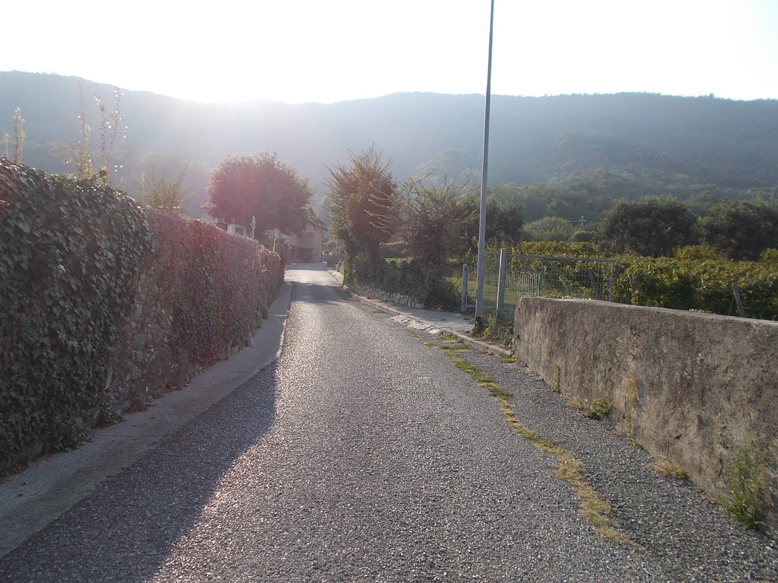 VIVENDO SALENDO: CARATTERISTICHE TECNICHE DELLA SALITA ALLA TENUTA "LA ...