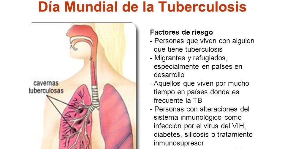 cotidianidades : Datos básicos sobre la tuberculosis cotidianidades : Datos básicos sobre la tuberculosis