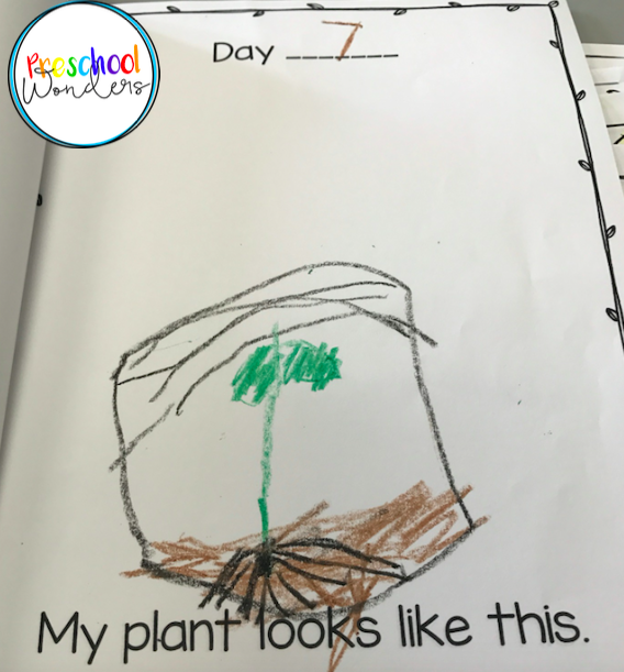 Preschool Wonders: Flower Power: Learning All About Plants!