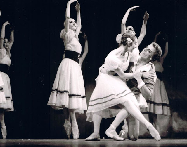 Dutch National Ballet: 47 Pictures That Capture Performing Dancers in ...