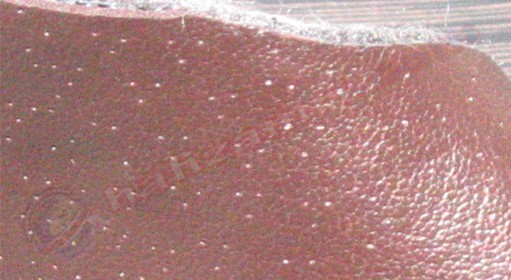 Cara Mengenal Barangan Yang Diperbuat Daripada Kulit Babi - MYNewsBistro