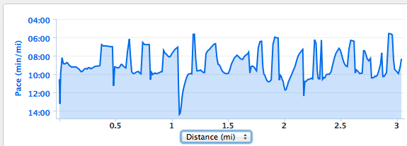 Runs for Cookies: A fartlek run