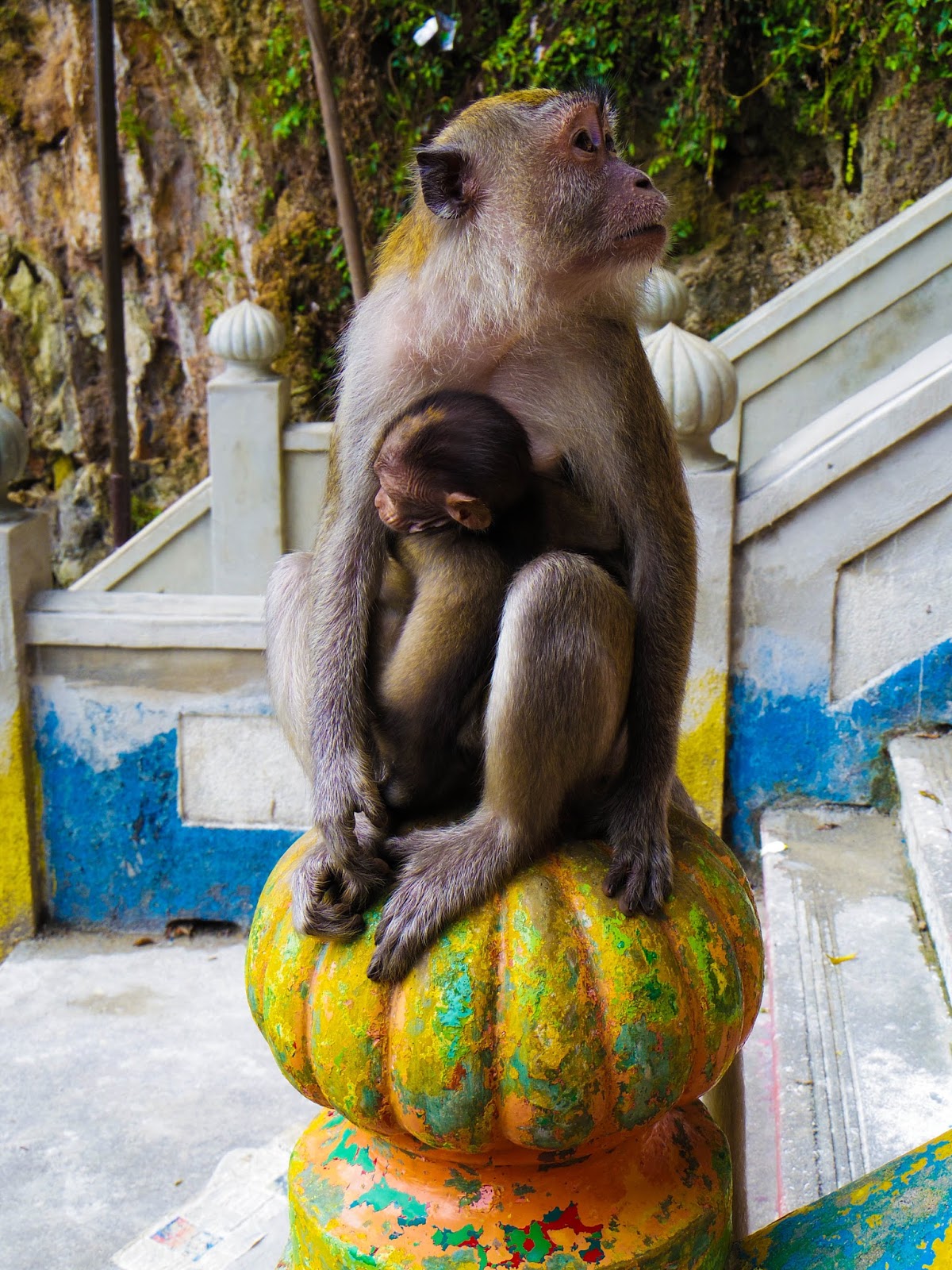 Batu Caves e le sue scimmie, Kuala Lumpur - IL MONDO CAPOVOLTO