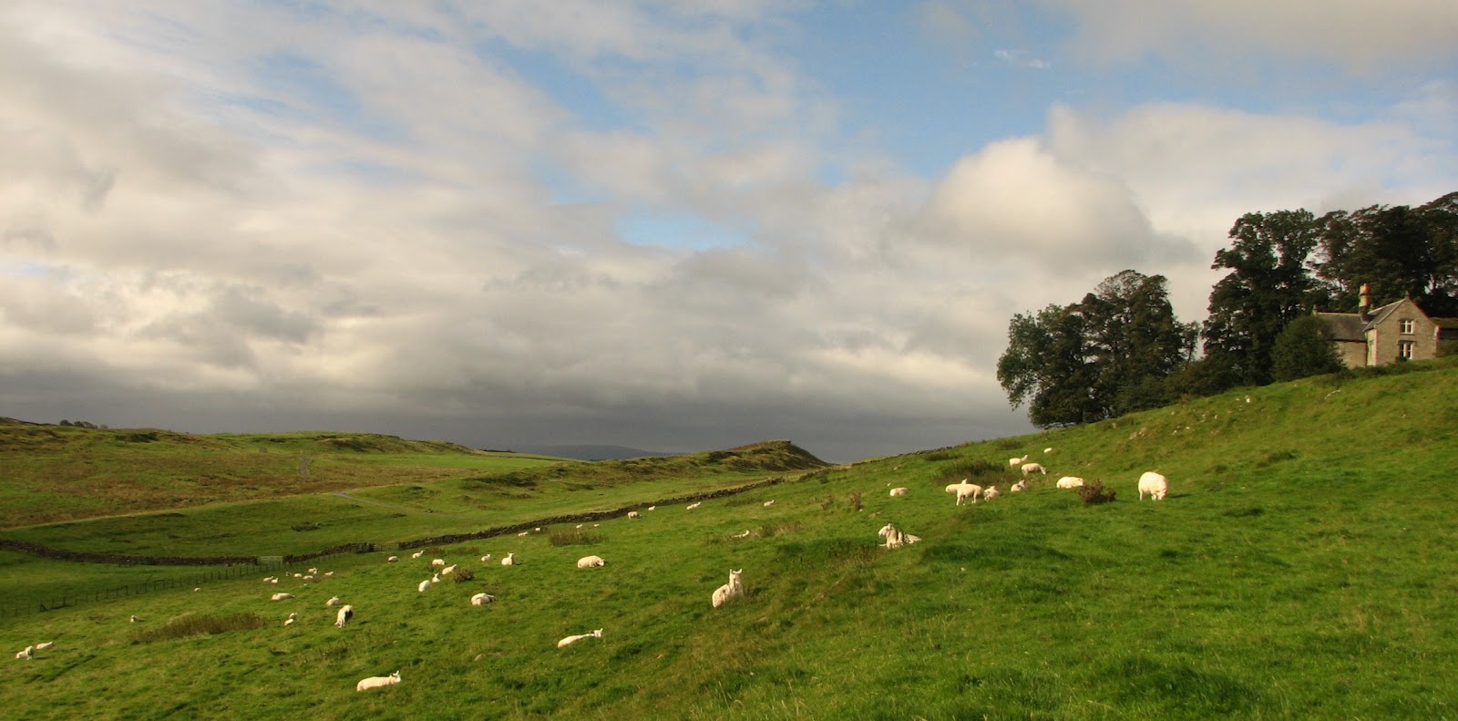 Britain and Beyond: Hadrian's Wall & Housesteads Roman Fort