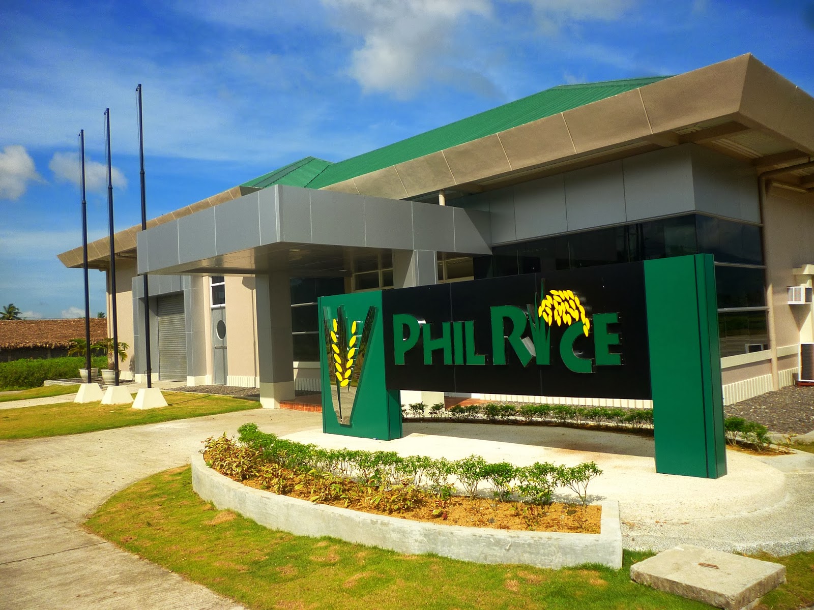 Albay 3rd District: PhilRice Bicol: Opening opportunities for Bicolanos ...