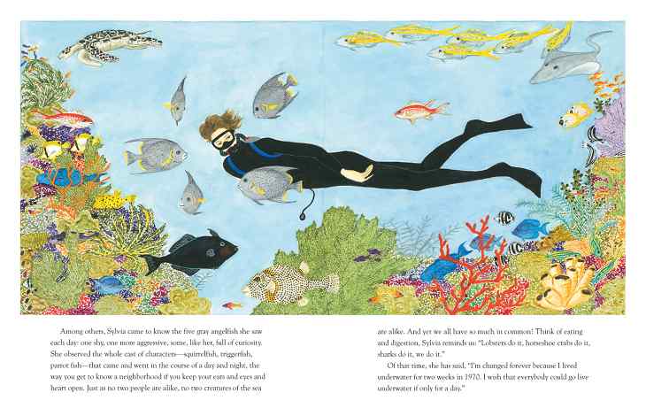 Great Kid Books: Life in the Ocean: The story of oceanographer Sylvia ...