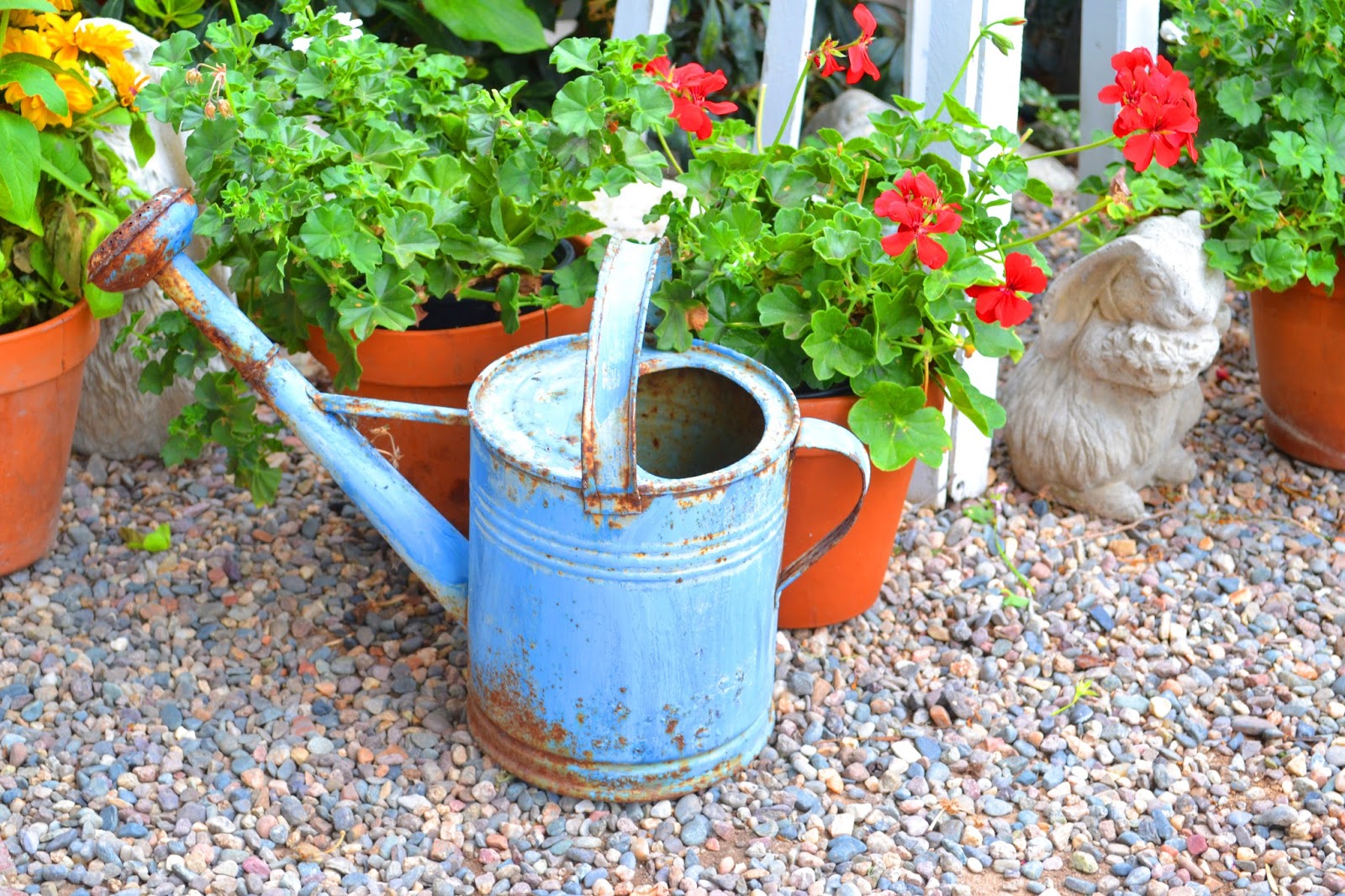 My Painted Garden: Adding Pops of Color and "Water-Wise" Garden Flowers