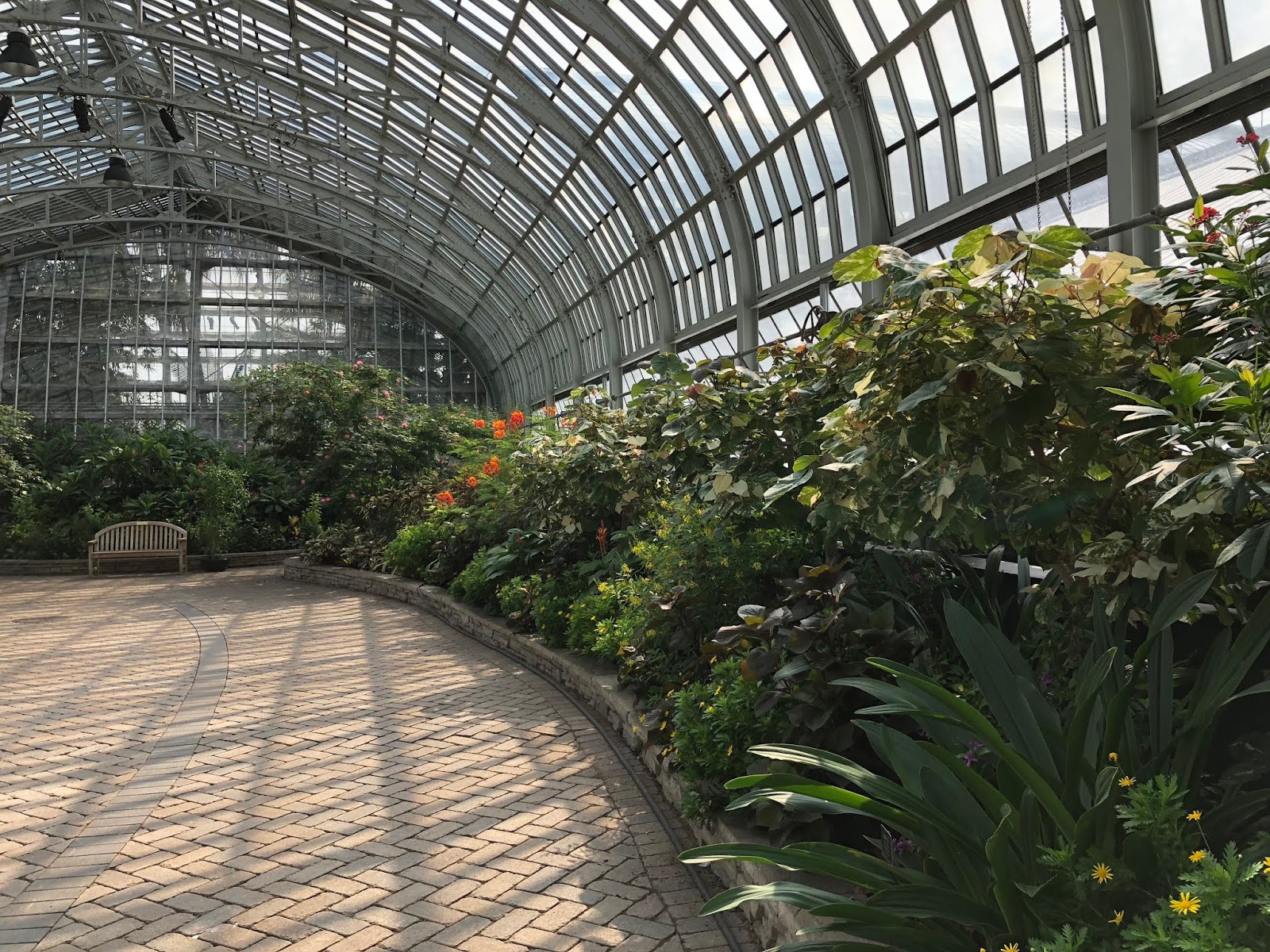 Vivero Growers Garden: A Tour of Garfield Park Conservatory, Chicago
