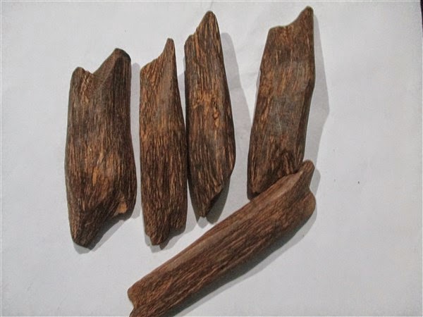 Jual Kayu Gaharu: Jual Kayu Gaharu Sinai