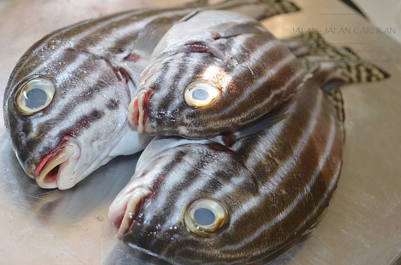 Di Mana Ada Air, Di Situ Ada Ikan. - Amie's Little Kitchen