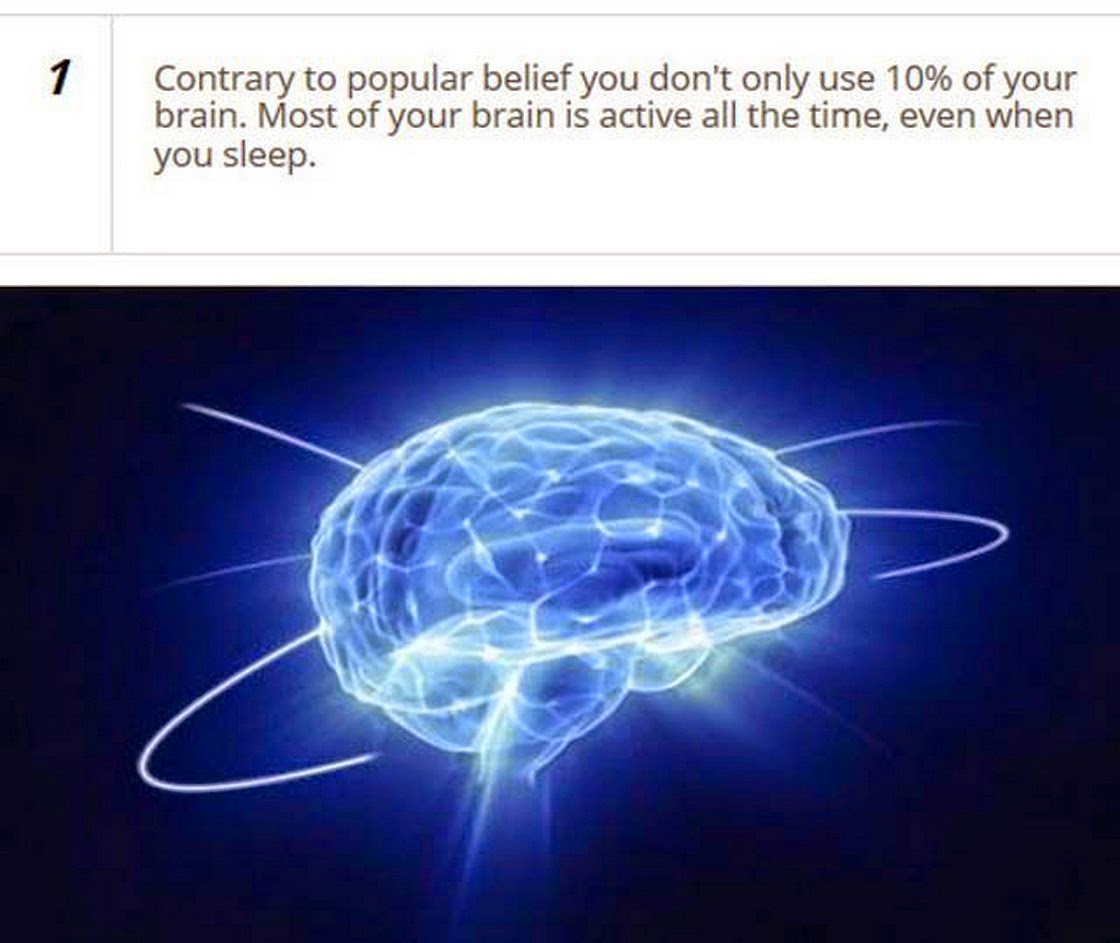 Chuck's Fun Page 2: Brain trivia - 25 images