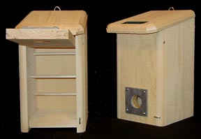 Pippa's Place - Environmentally Speaking: Build a Winter Bird Roost