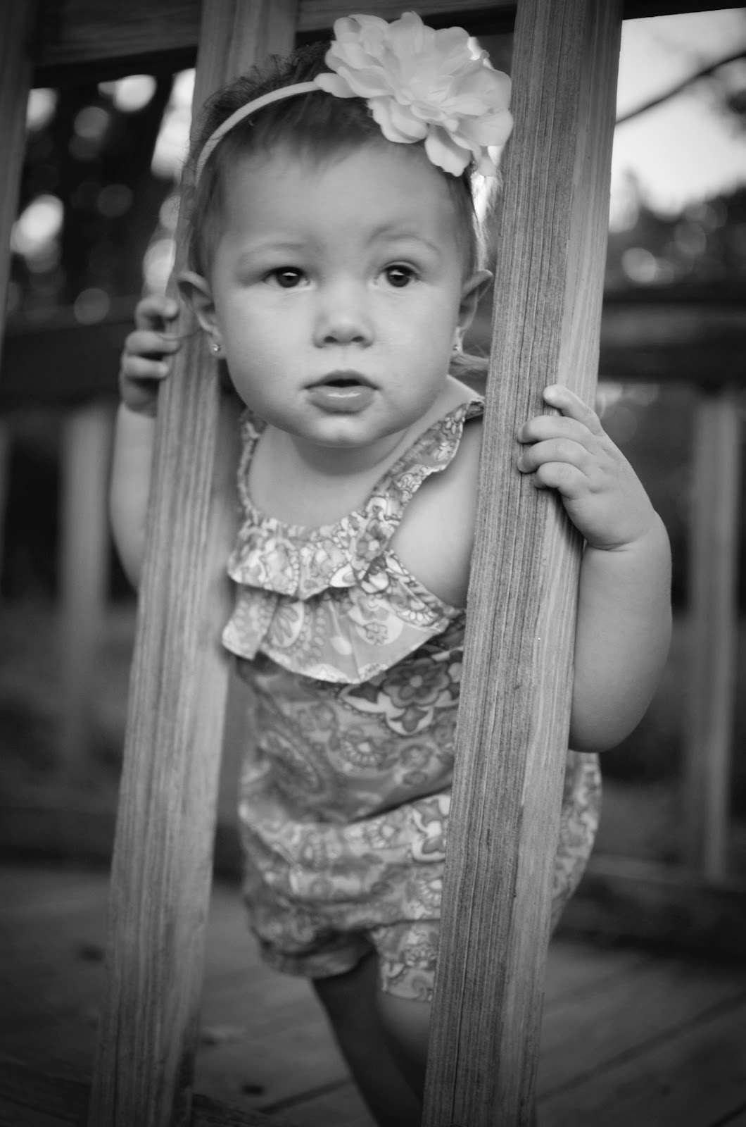 Sara Raney Photography: Beautiful Brash Family