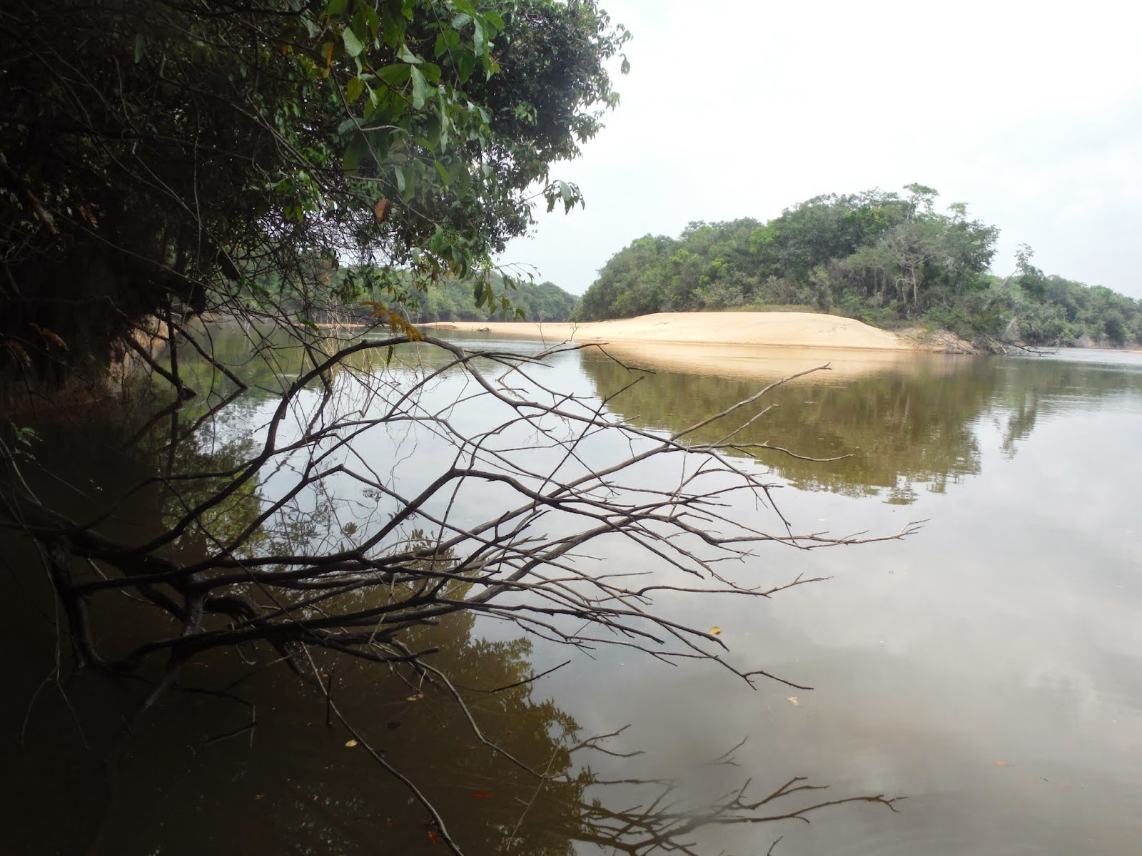 Espacio de Pesca: Pesca payara en el Rio Yucao y Manacacias, Puerto ...