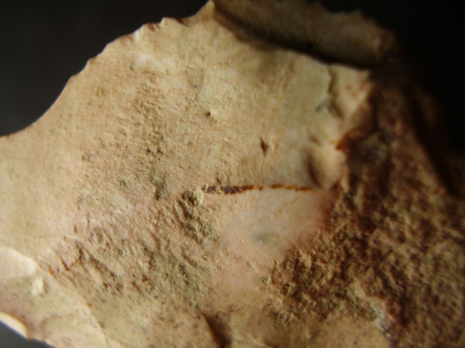 Archaeology of Portable Rock Art: A winking turkey figure stone