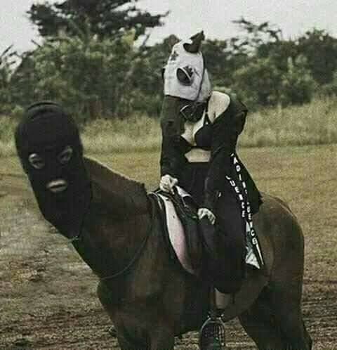 Kumpulan Meme Awkarin Naik Kuda Terlengkap