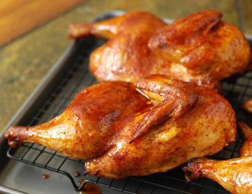 Firebird Chicken aka The Chicken From Hell