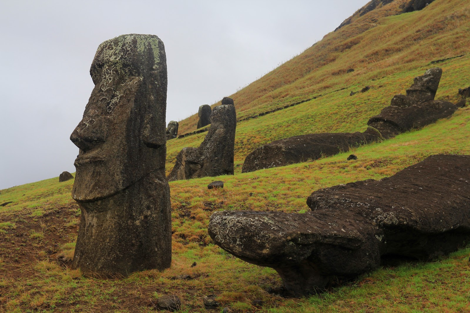 Les Lou's en Polynésie Française: L'île de Pâques : Les carrières et le ...