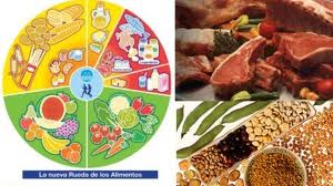 alimentos constructores