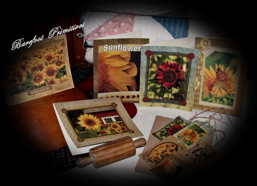 Barefoot Primitives: CARDS