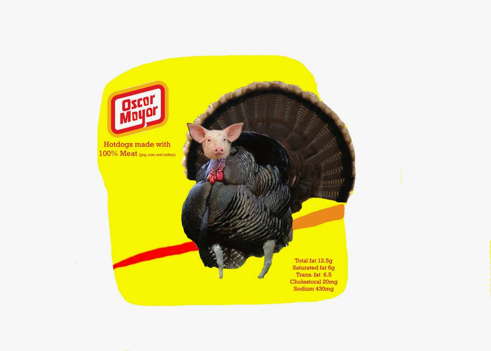 Eli Zinner Graphic Designer