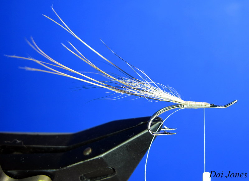 Flies step by step: Ghost shrimp, step by step.