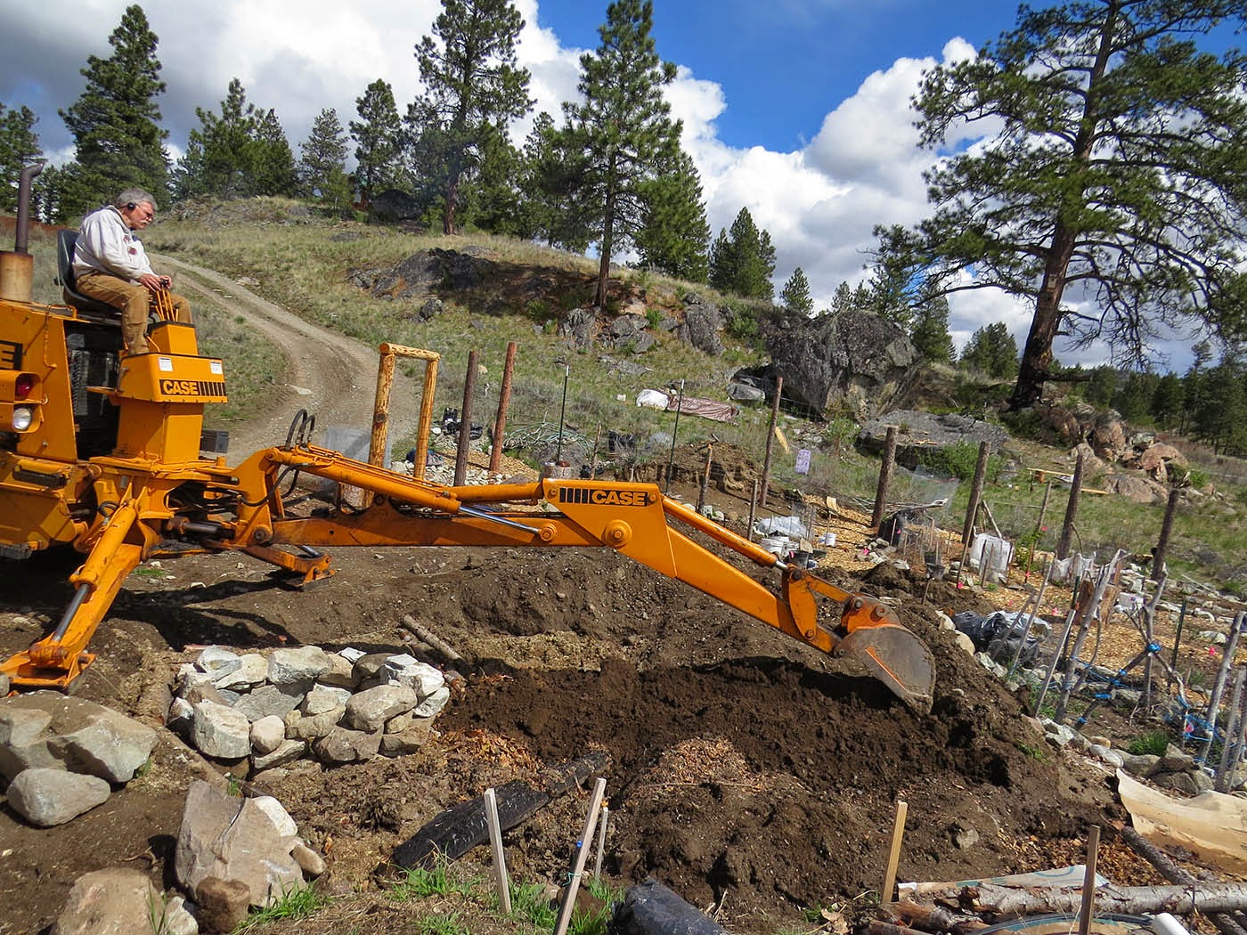 Wood for Food ~ Gardening with the Slow Burn of Rotting Wood ...