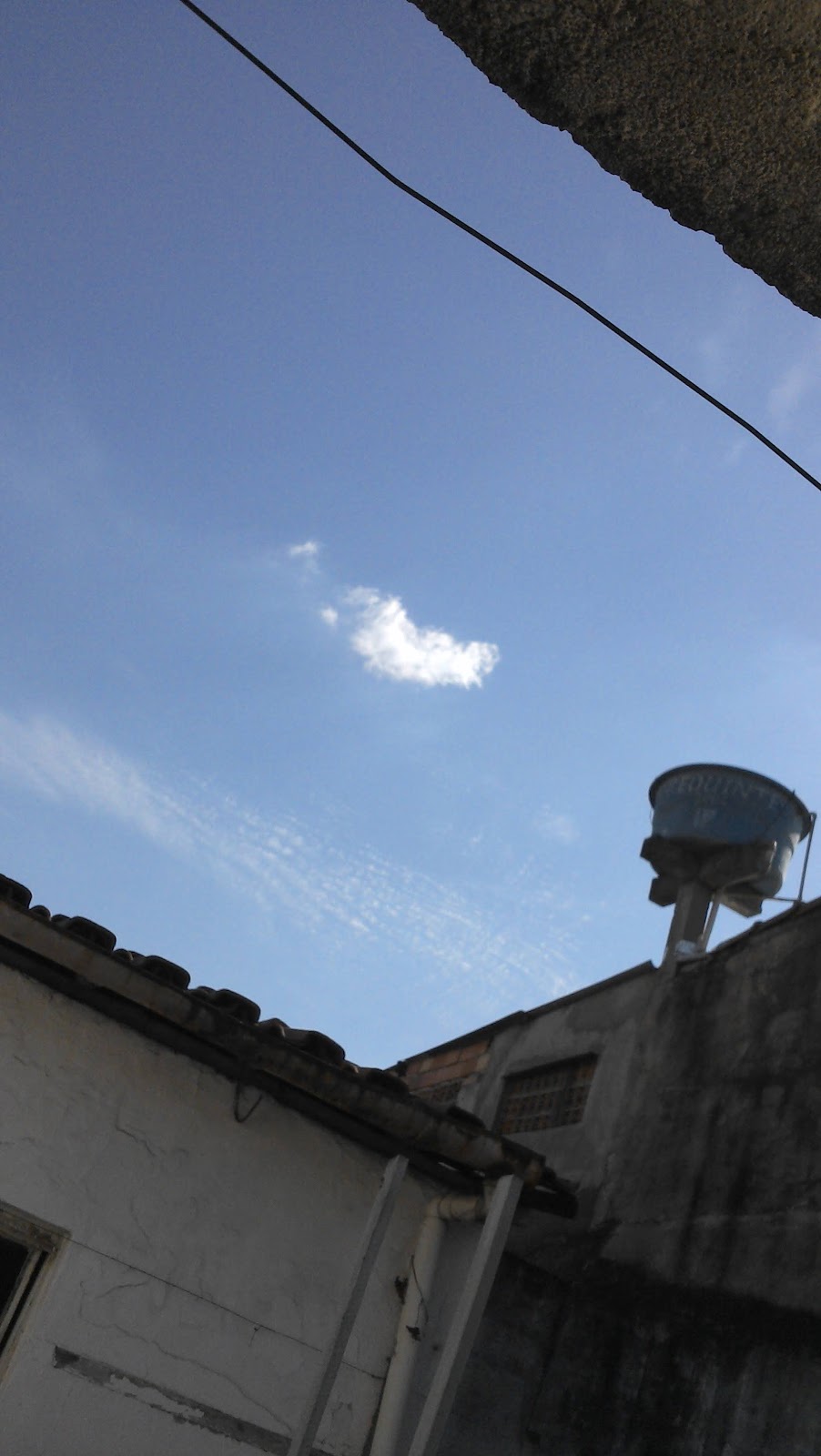 Coisas de Ada: Quintal, mundo sem fim