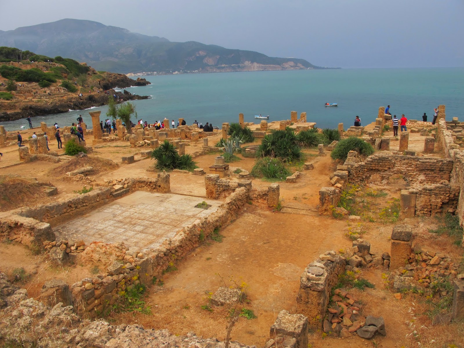 El mundo nunca es suficiente: Tipaza