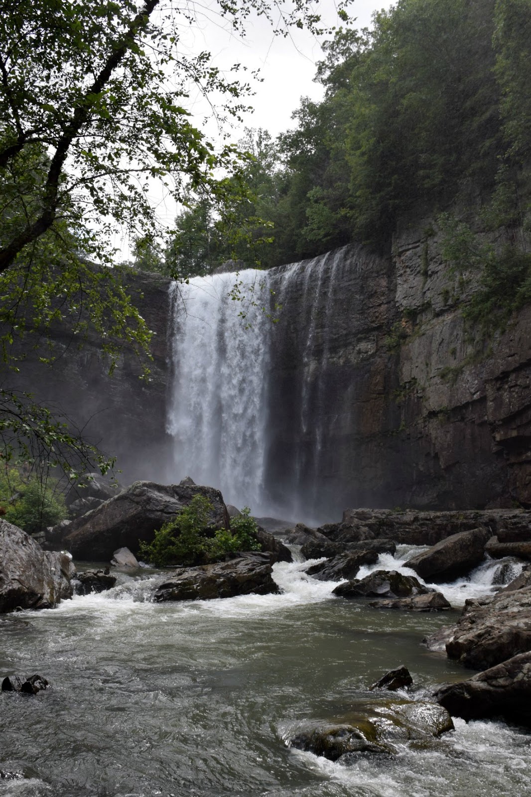 Using Georgia Native Plants: Lula Lake and Falls